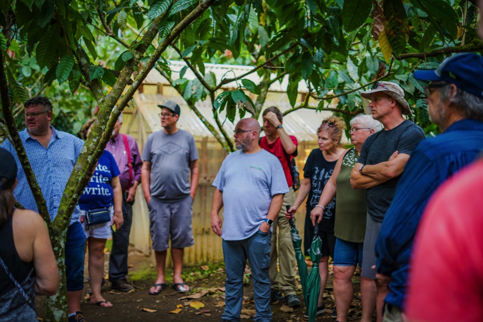 Gallery – Rainforest Chocolate Tour