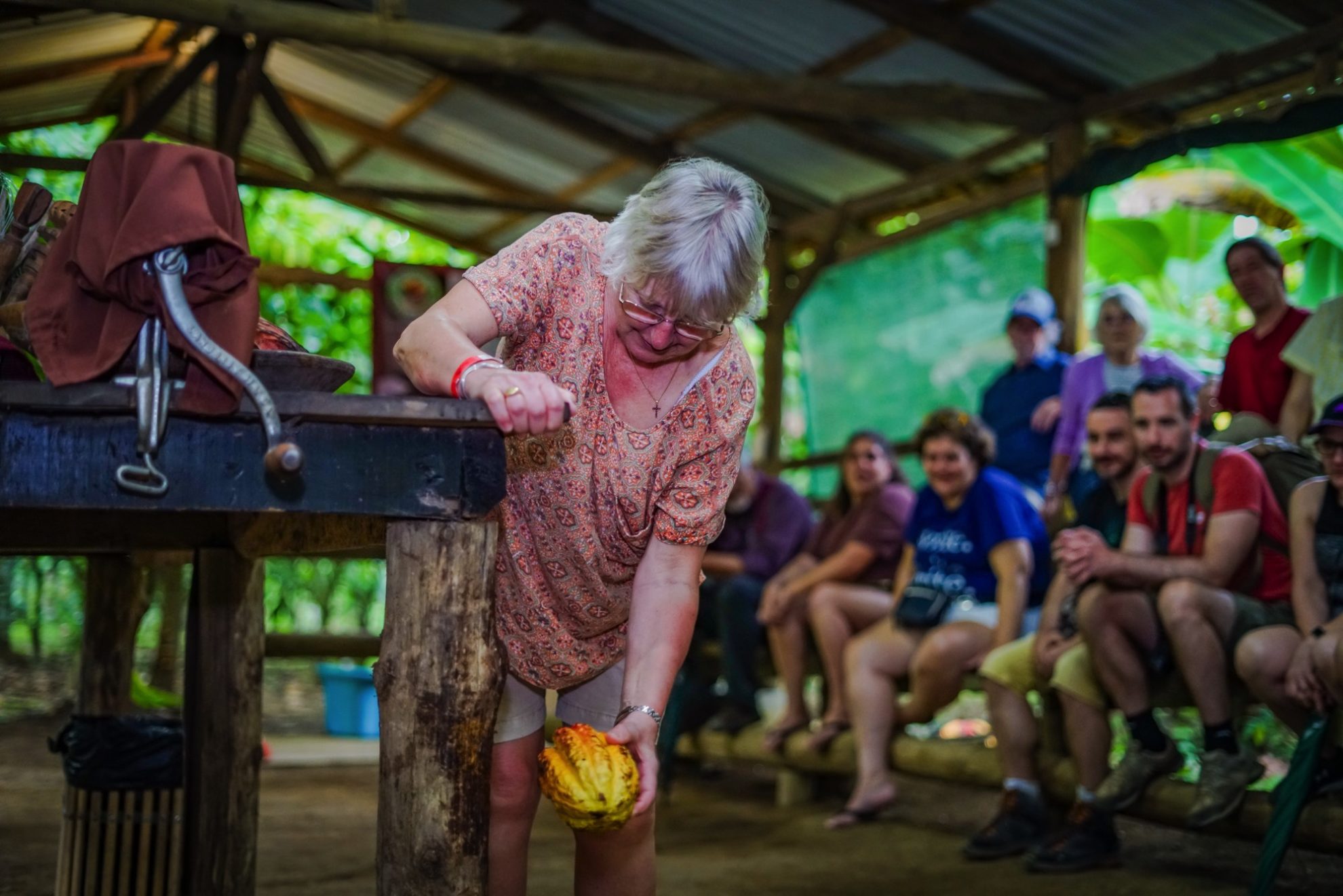 Gallery – Rainforest Chocolate Tour