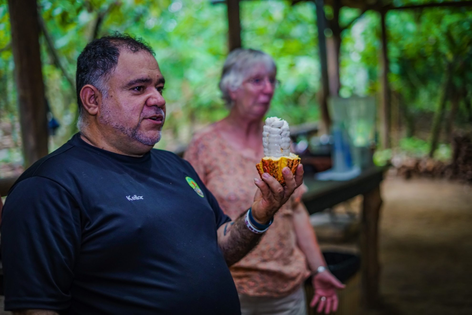 Gallery – Rainforest Chocolate Tour