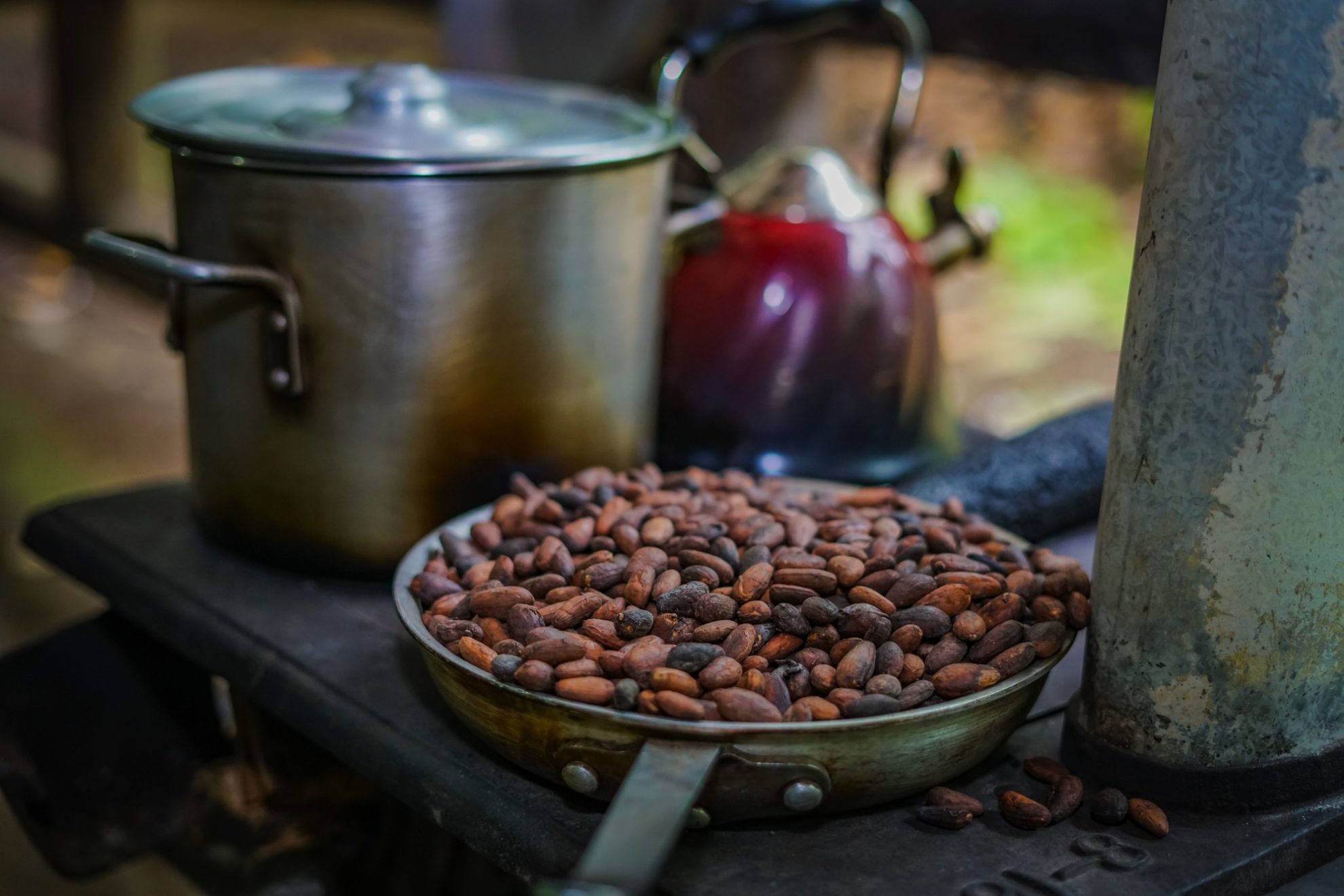 Gallery – Rainforest Chocolate Tour