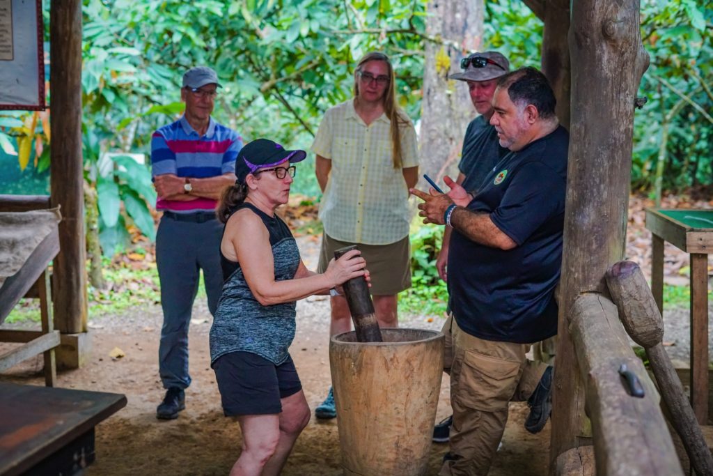 Gallery – Rainforest Chocolate Tour