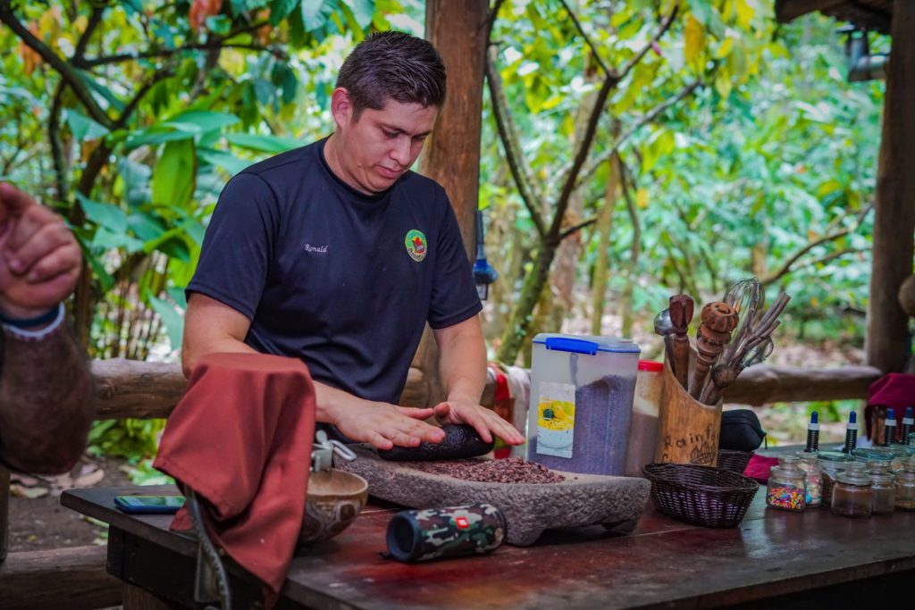 Gallery – Rainforest Chocolate Tour