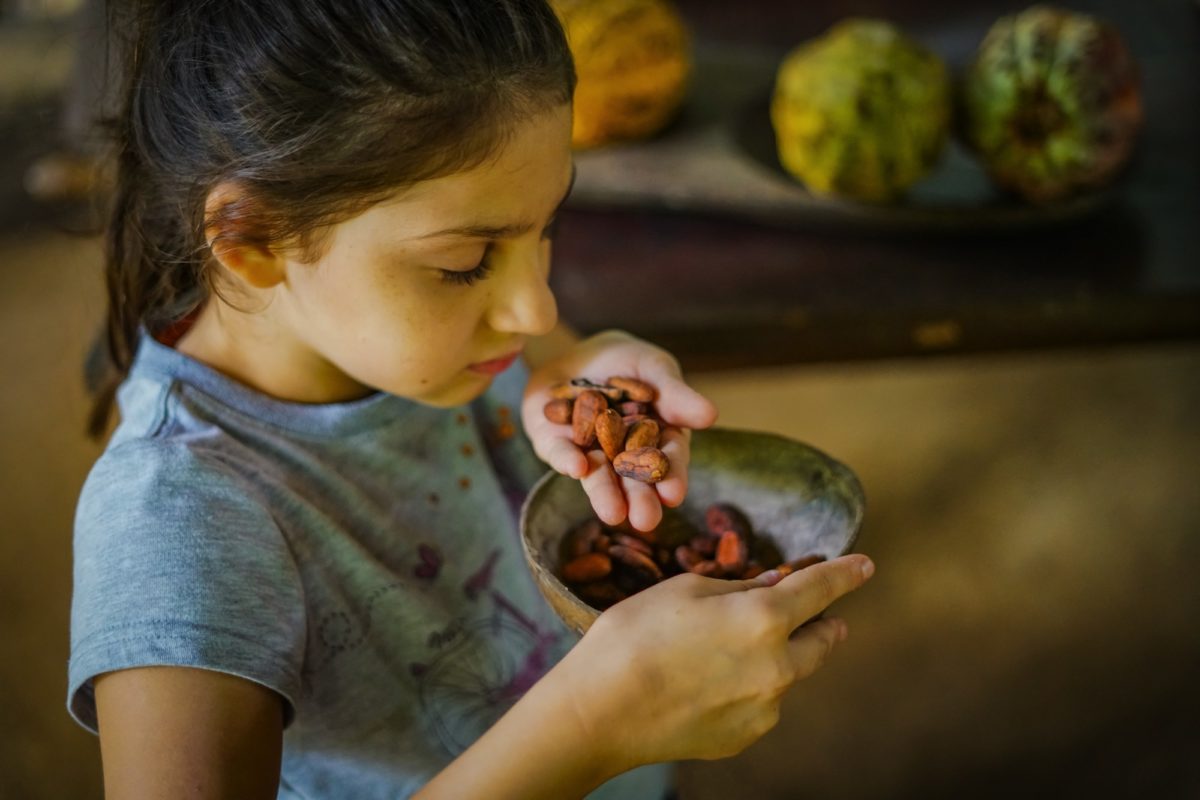 Gallery – Rainforest Chocolate Tour